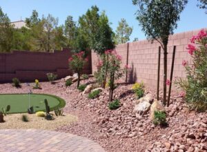 Landscape Design In Las Vegas • Advantage Landscape